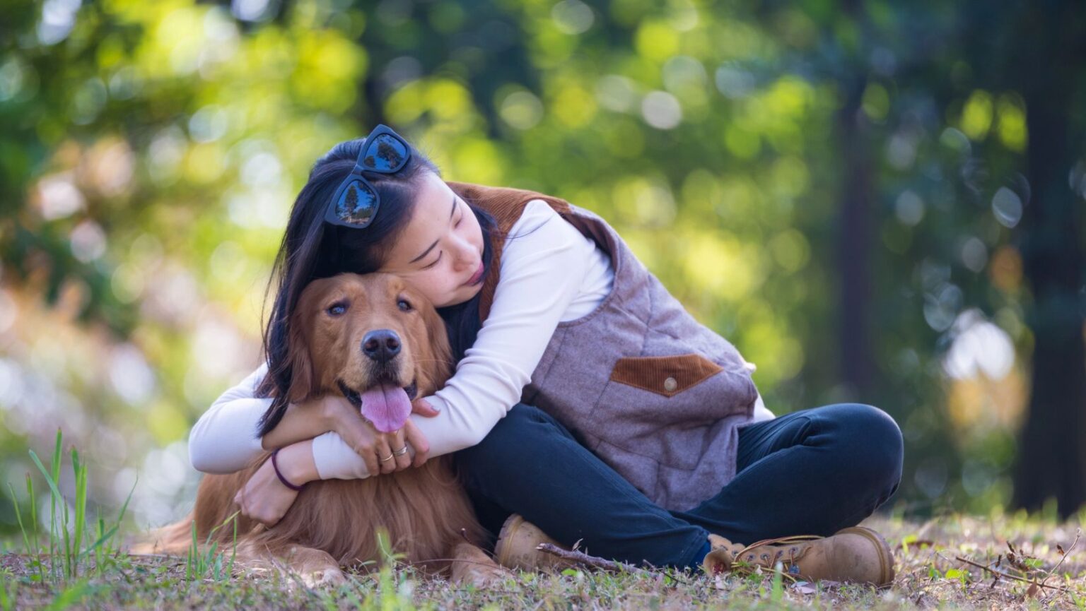 National Hug Your Hound Day September 8 - 2026 - World Day