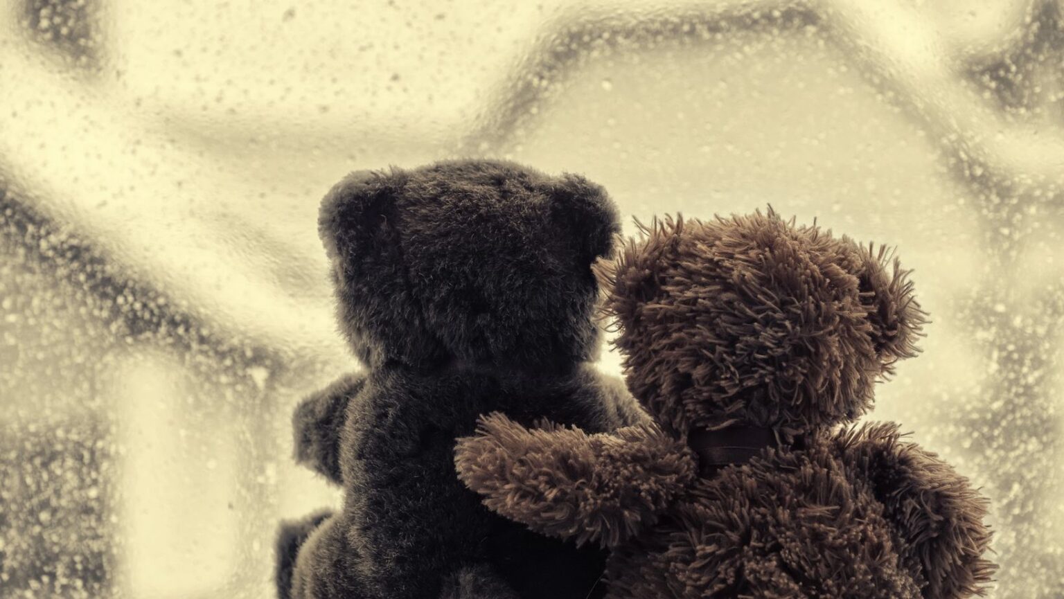 Teddy Bear Day September 9 - 2026 - World Day