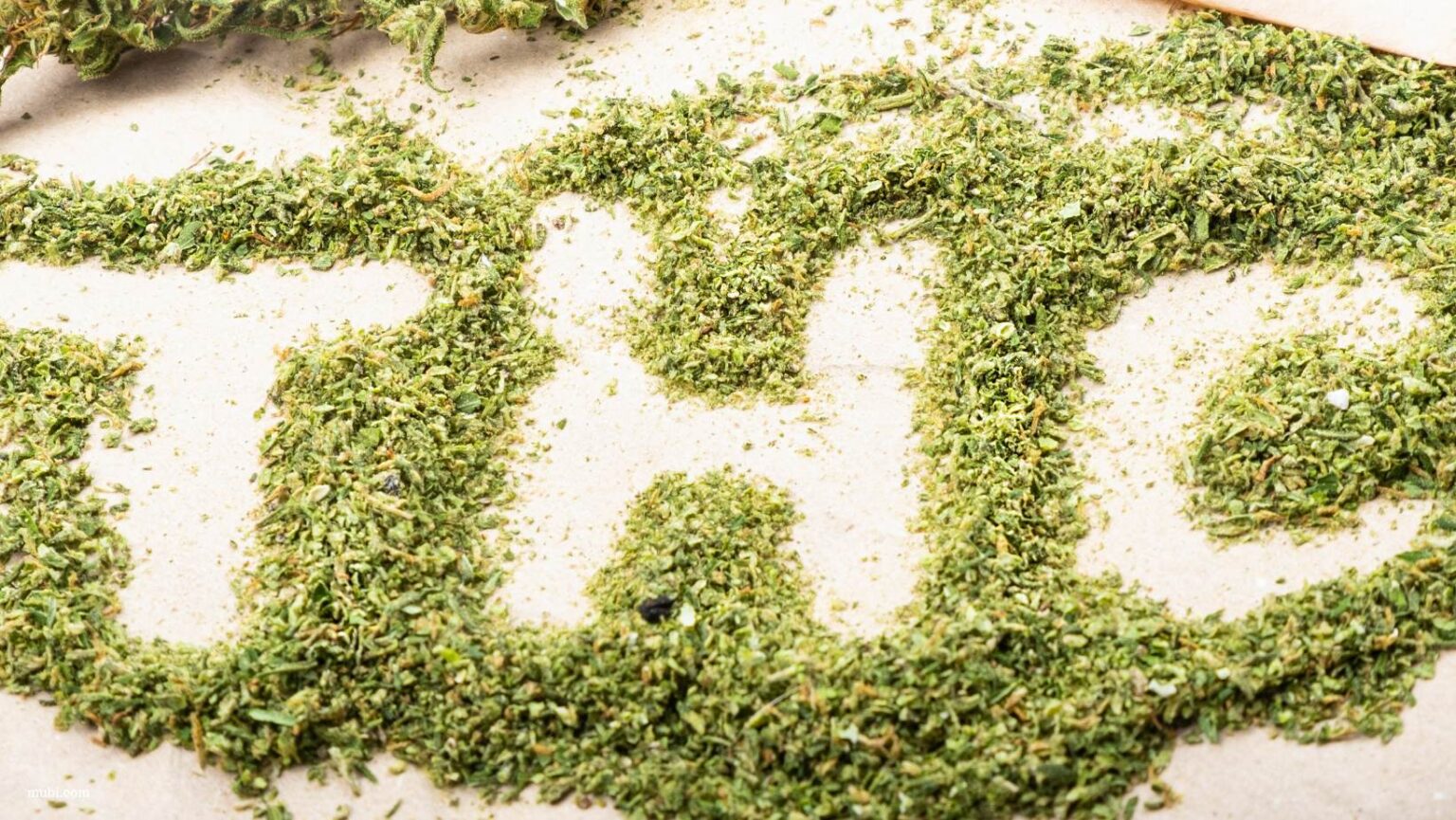 THC Detox Calculator: Estimate Your Cannabis Cleanse Timeline for Drug ...