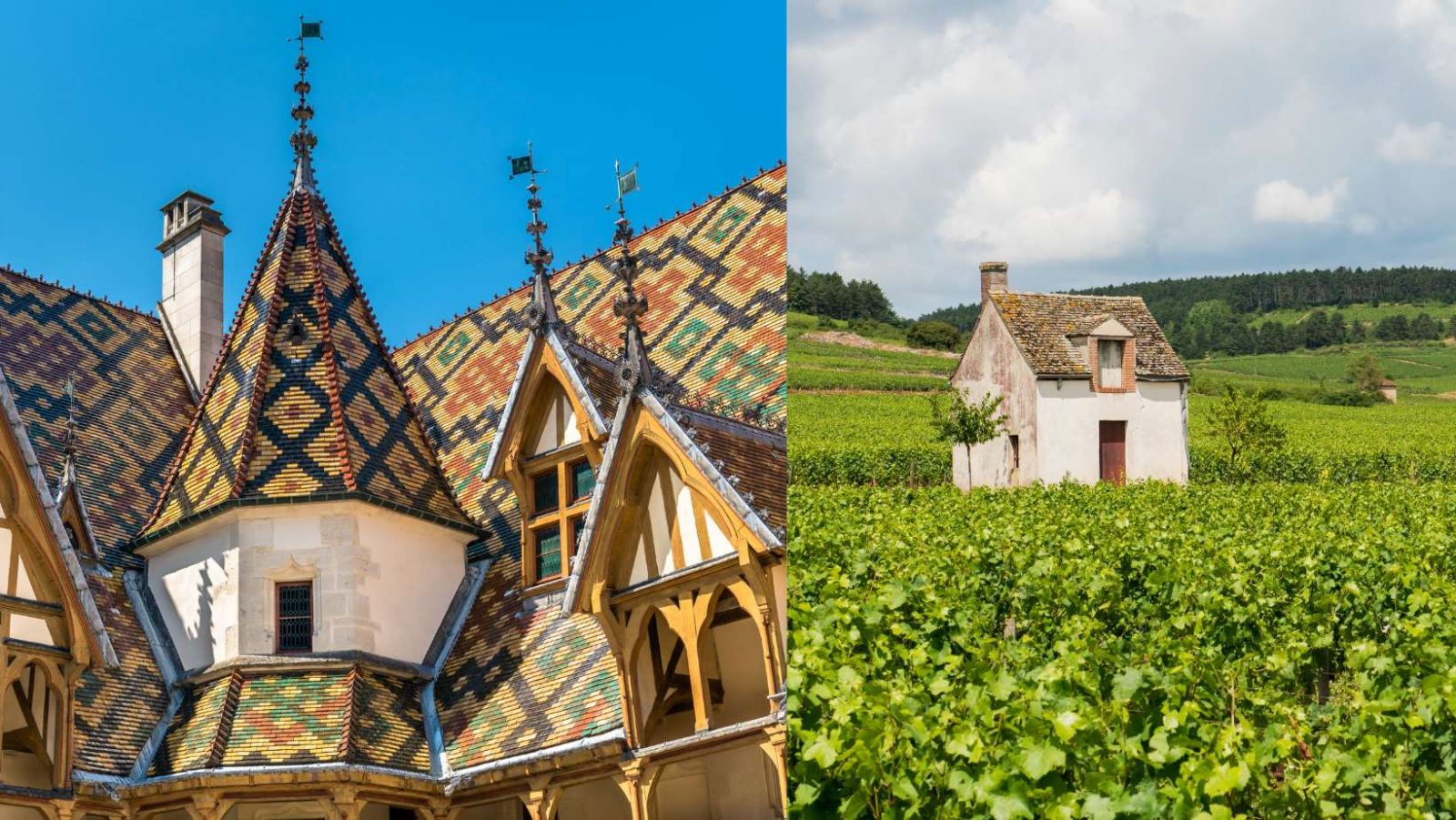 Beaune : 2000 ans d'histoire et 24 millions de bouteilles de vin par an ...