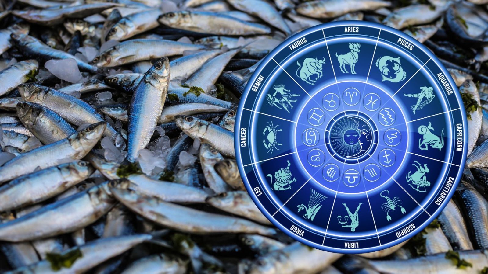 Horoscope Poissons du 23 mars 2024 - Intuition et Sensibilité