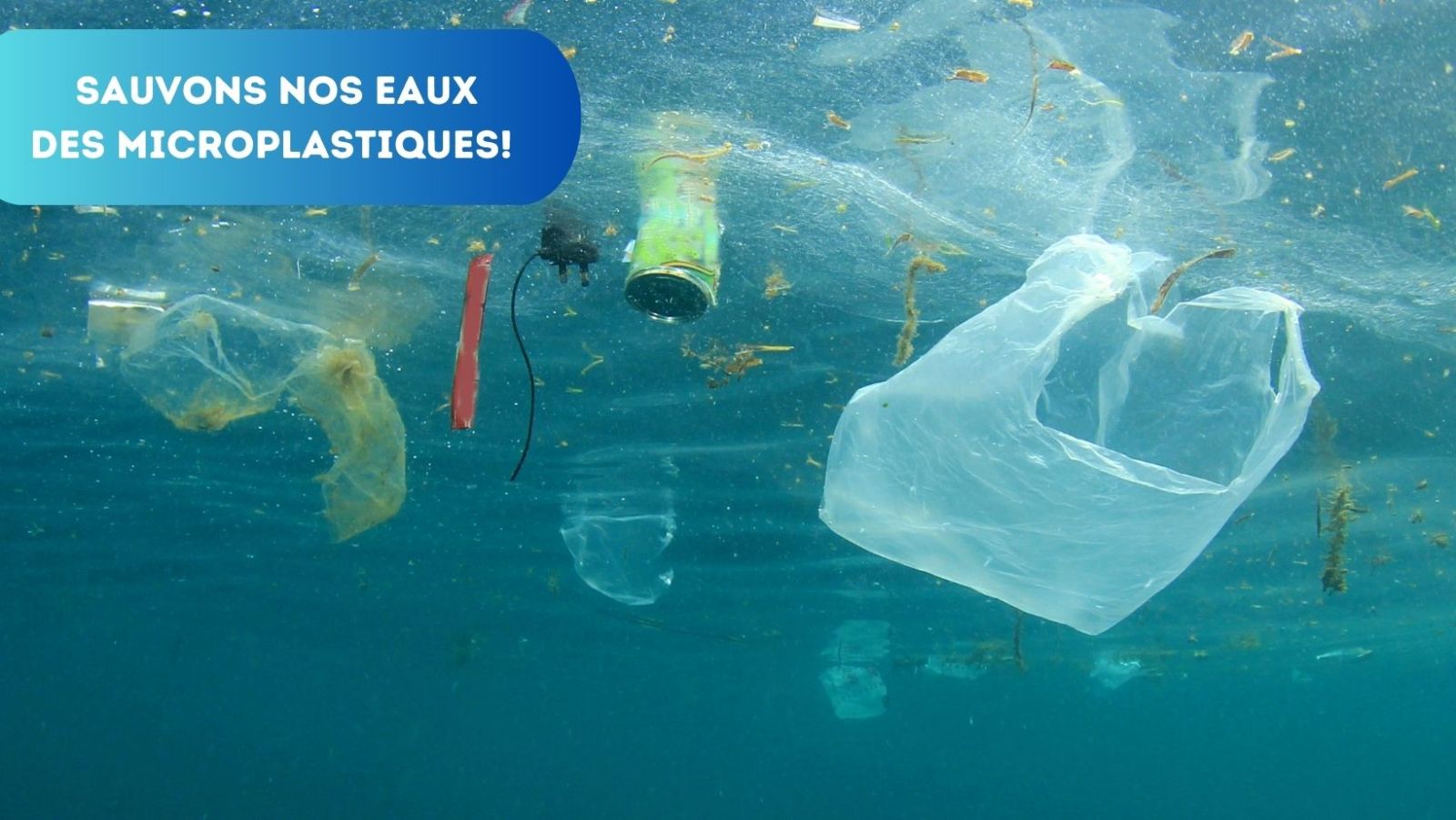 Mobilisation d'Urgence : Joignez la Bataille Contre les Microplastiques ...