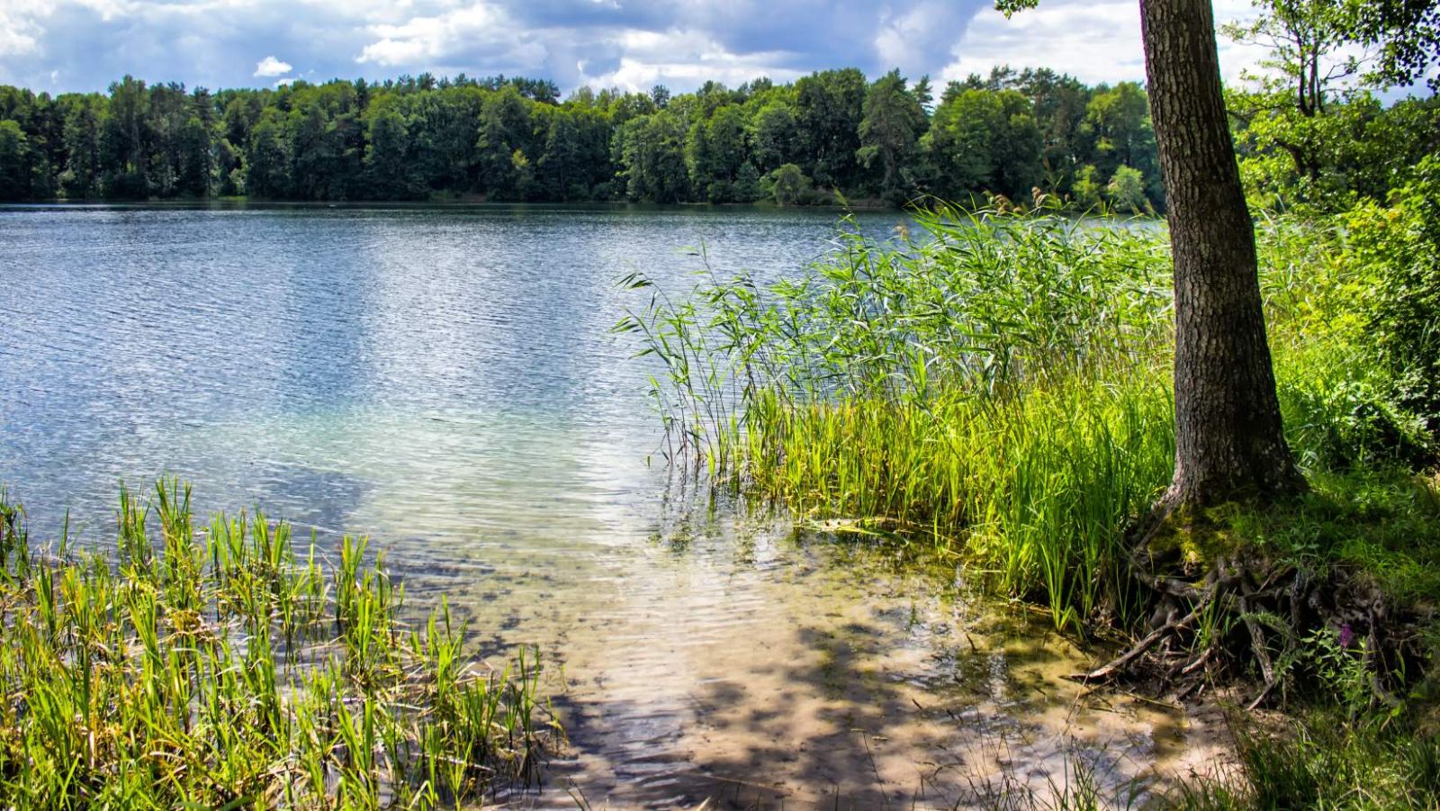 Étangs Sarthe : top 10 des plus beaux spots, de l'Étang Change aux lacs ...