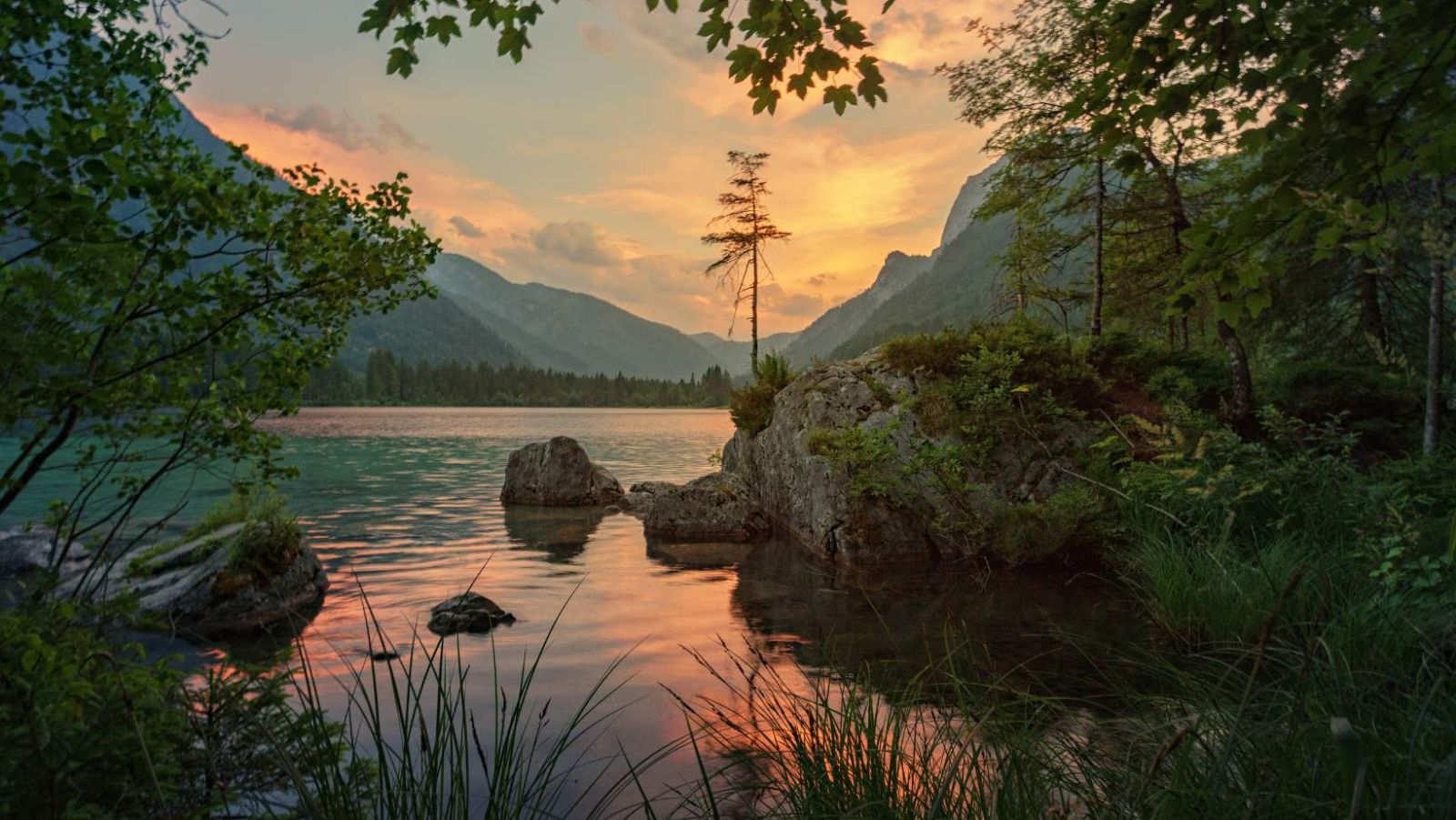 Le Lac du Laouzas : 50 ans d'histoire et 3,35 km² de paradis naturel