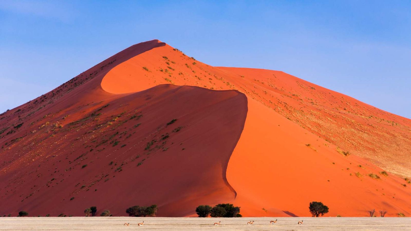 Sossusvlei : 388 mètres de sable rouge et 5 millions d'années d'histoire
