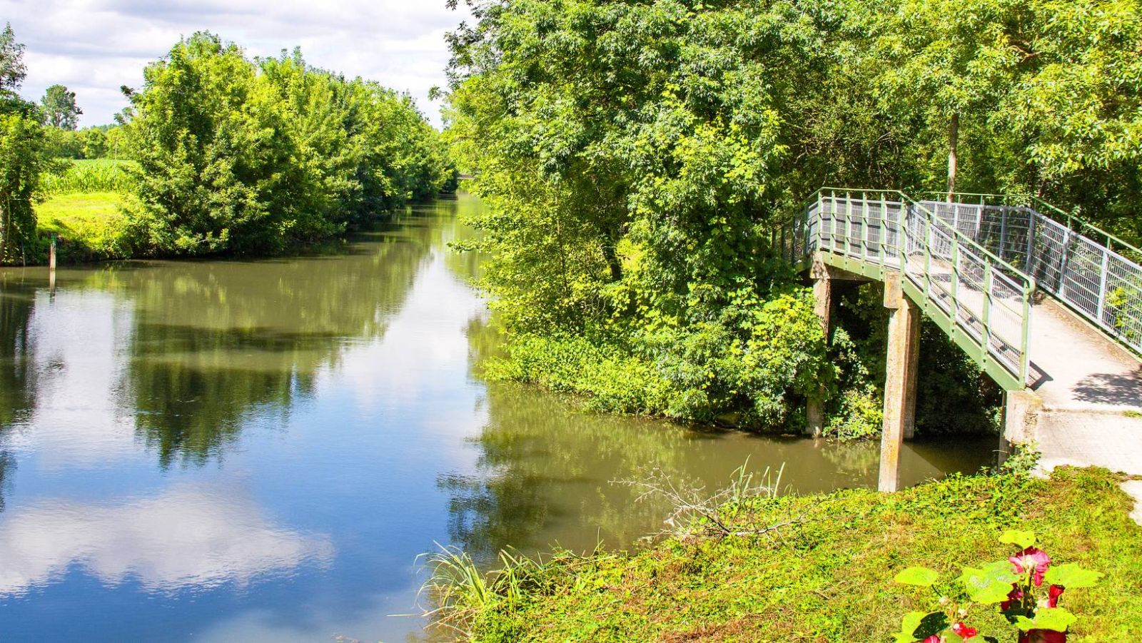 Marais Poitevin en Vendée : top activités et lieux incontournables pour ...
