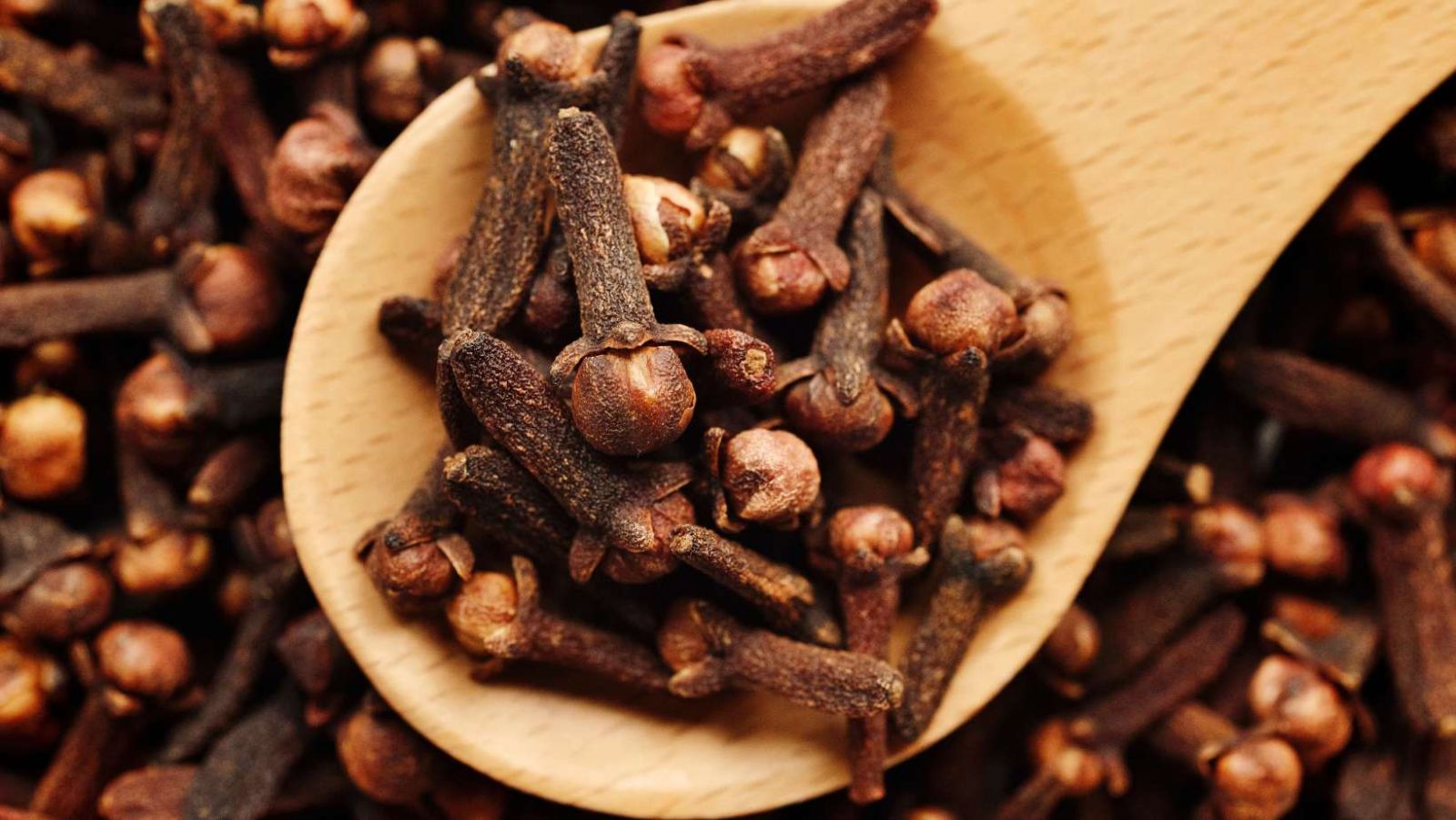 Clou de girofle : l'épice magique anti-douleur et anti-infectieuse à ...