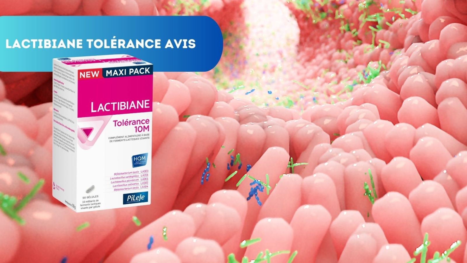 Lactibiane Tolérance, Avis : L'efficacité en 1 gélule/jour ? Vraiment