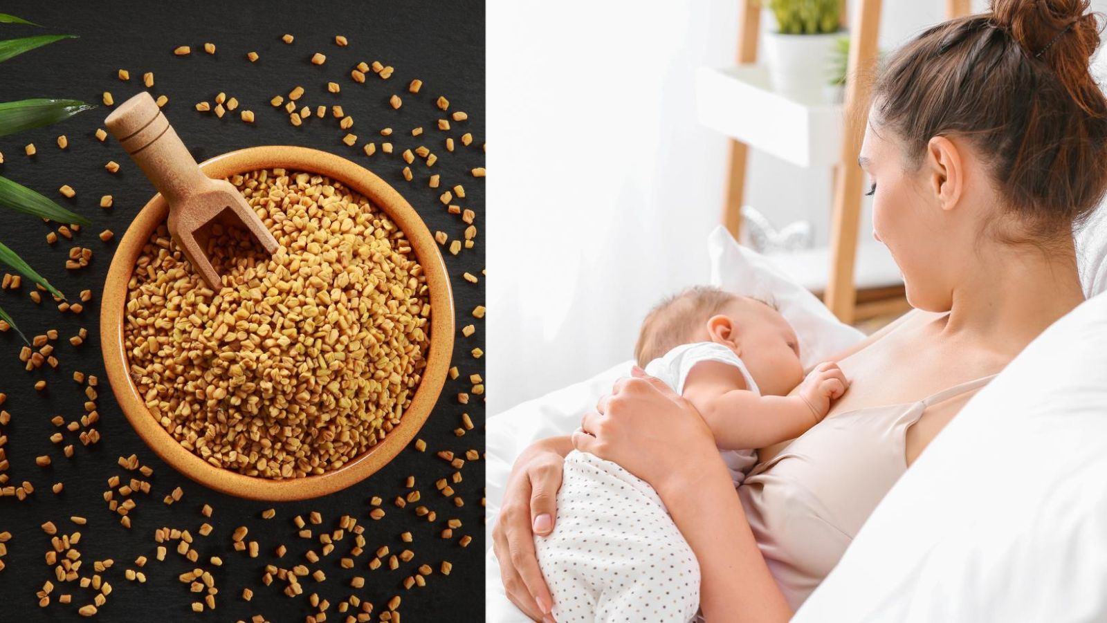 Remède de grand-mère pour faire monter le lait : 10 astuces naturelles ...