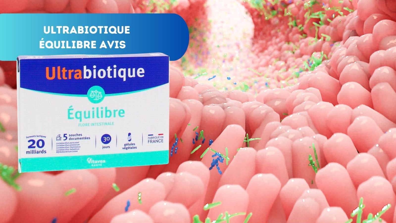 Avis Ultrabiotique Équilibre pour une Flore Intestinale Saine