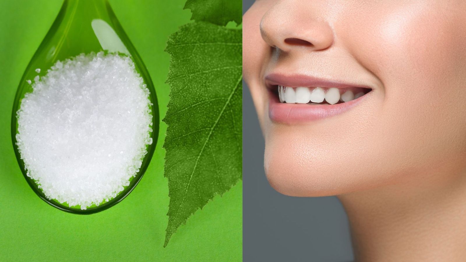 30 jours avec le xylitol : l'expérience qui a changé ma vie (et mes ...