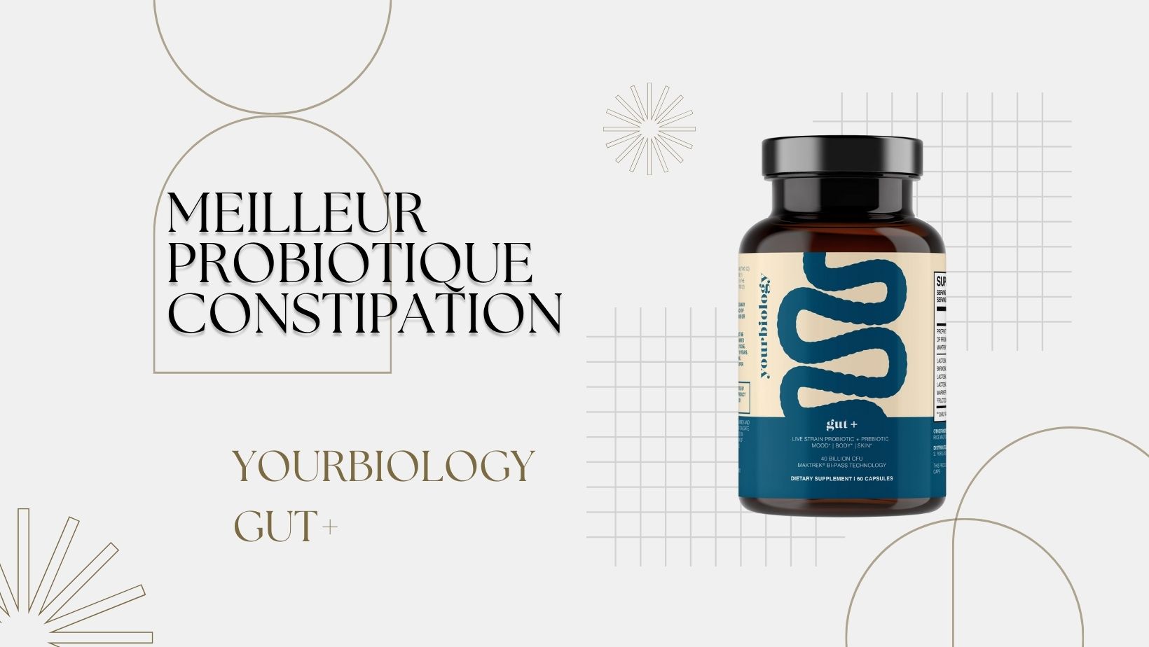 Meilleurs Probiotiques pour la Constipation – Guide Complet et Comparatif