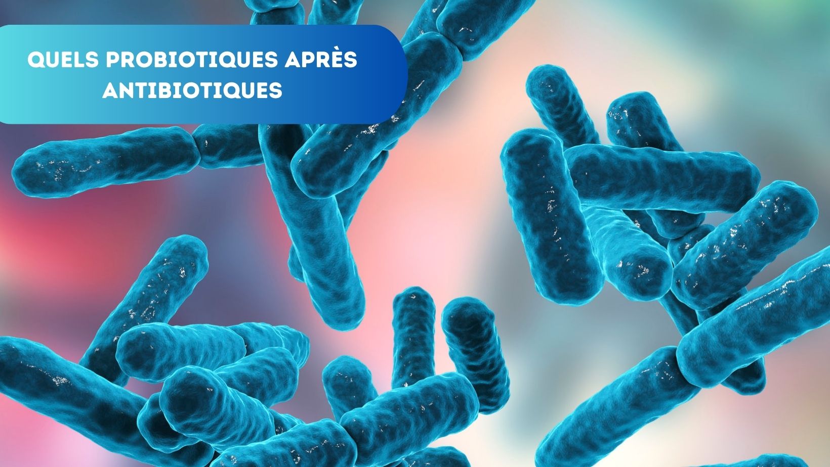 Quels probiotiques après antibiotiques